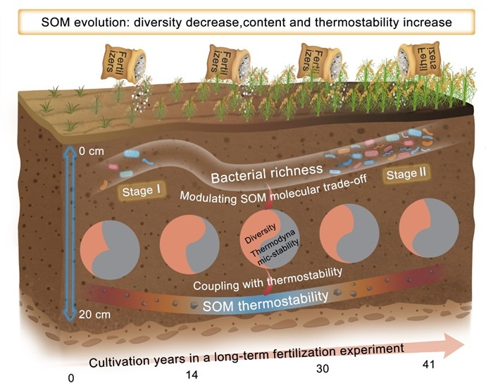 土壤科学数据中心
